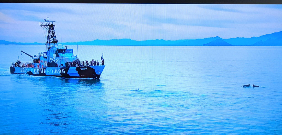 Sea of Shadows' SOS for Ocean Action - newportFILM